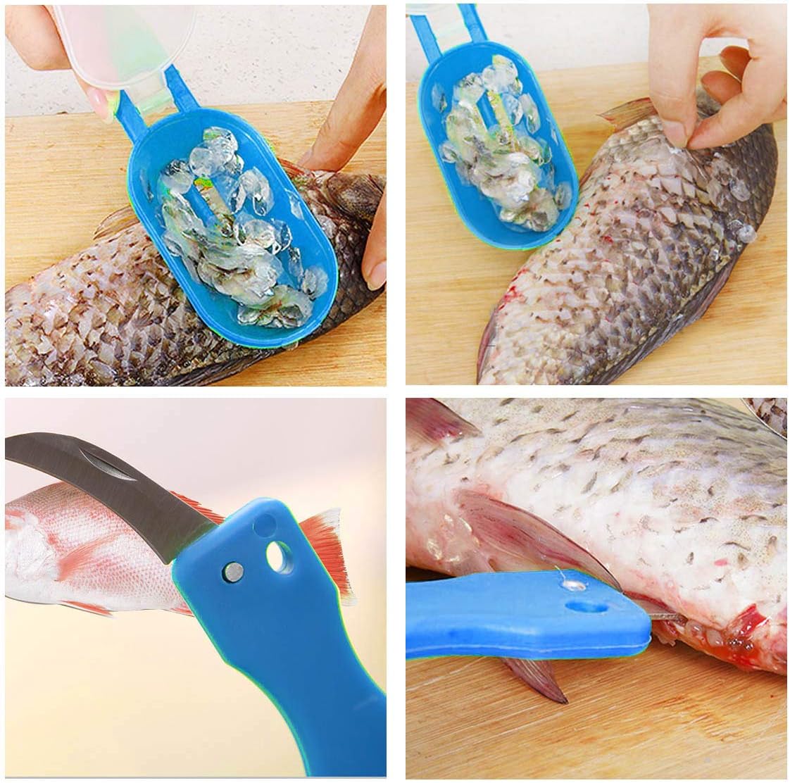 Grattoir à écailles de poisson en Acier Inoxydable 3 en 1
